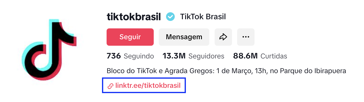 How to Add a Link to Your TikTok Bio? Check Out the Step-by-Step Guide - Reportei